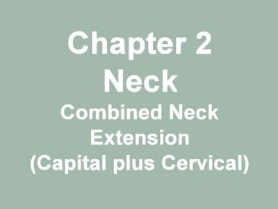 MMT_spine_cervical_combined_extension - Lane Community College Media