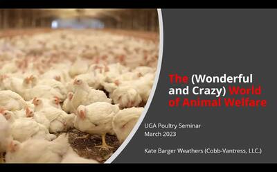 3/13/23 - Dr. Kate Barger - UGA Poultry Science & PDRC Avian Seminar ...