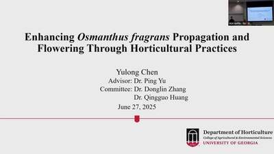 Yulong Chen, Enhancing Osmanthus fragrans Propagation and Flowering ...