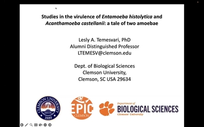 Dr. Lesly Temesvari (Feb 12) - University of Georgia Kaltura