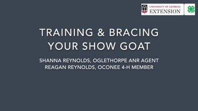 Show Goat:Training and Bracing - University of Georgia Kaltura