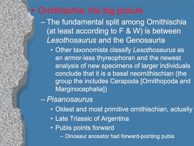 Part III - Ornithischia - Armored, Horned, and Duck-billed Dinosaurs ...