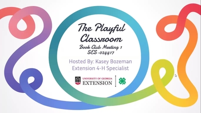 The Playful Classroom: The Power of Play for All Ages Book Club, Part ...