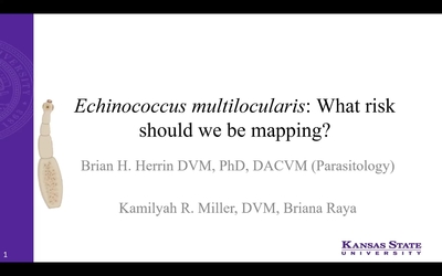 Dr. Brian Herrin (February 5) - University of Georgia Kaltura