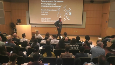 Weaver Lecture - Carol W. Greider - May 8, 2019 - University of ...