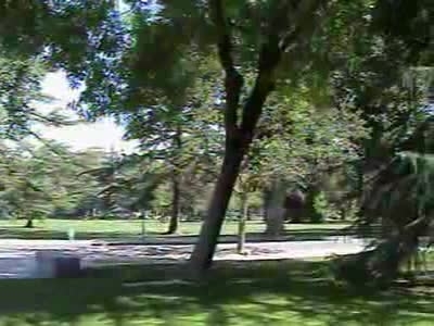 Emeriti - VM_Robert_Cella - University of California, Davis