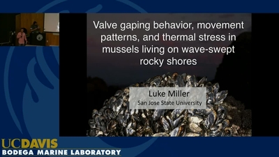BML - Luke Miller: Valve gaping behavior, movement patterns, and ...