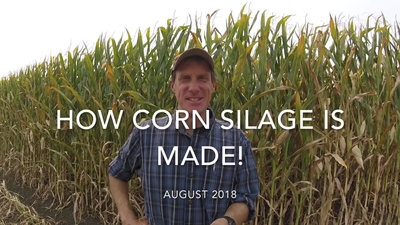 Making_corn_silage_2018 - University of California, Davis