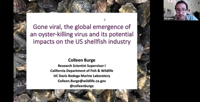 BML - Dr. Colleen Burge: Gone viral, the global emergence of an oyster ...