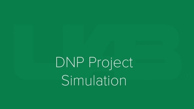 DNP_Project_Presentation_Sim - The University of Alabama at Birmingham