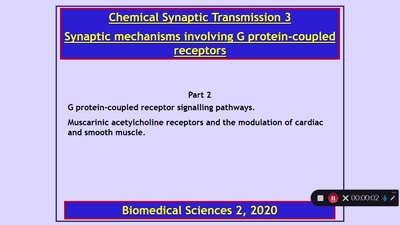 BMS2: Chemical Synaptic Transmission 3 Part 2 Dr Phil Larkman - Media ...