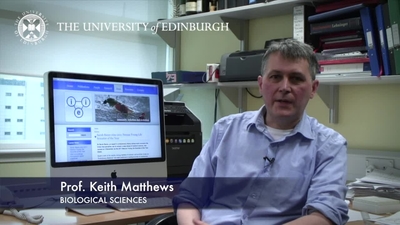 Keith Matthews - Biological Sciences- Research In A Nutshell - School ...