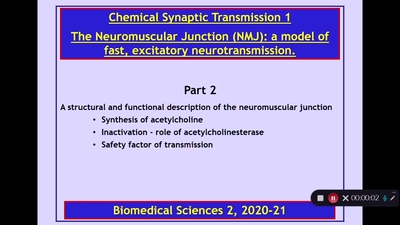 BMS2: Chemical Synaptic Transmission 1 Part 2 Dr Phil Larkman - Media ...