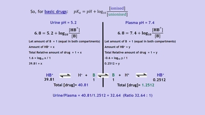 CP2 Pharmacokinetics Absorption and Distribution 3 - Media Hopper Create