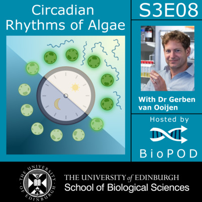 Circadian Rhythms of Algae with Dr Gerben van Ooijen - Media Hopper Create