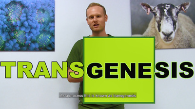 What is transgenesis all about? - Media Hopper Create