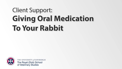 Client Support - Rabbit Oral Medication - Media Hopper Create