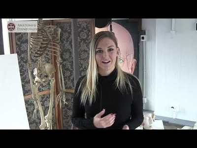 Jamie Brockman - Media Hopper Create