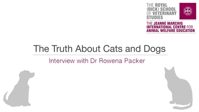 Dog genetics - interview with Dr Rowena Packer - Media Hopper Create