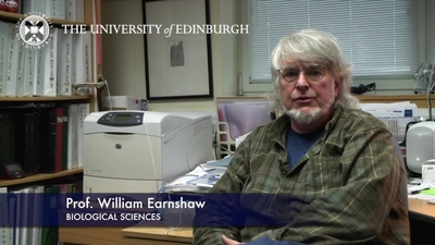 Bill Earnshaw - Biological Sciences- Research In A Nutshell - School of ...