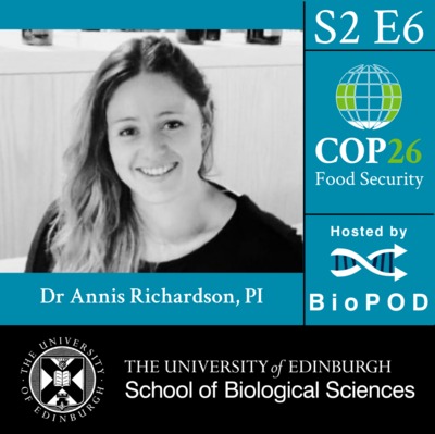 COP26 Debrief: Food Security with Dr Annis Richardson - Media Hopper Create