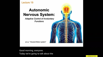 Lecture 19_Autonomic Nervous System - University of Connecticut ...