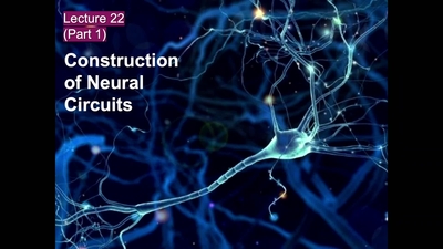 Lecture 22_Construction of Neural Circuits _Part 1 - University of ...