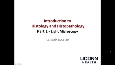 Introduction to Histology and Histopathology - Part 1 - University of ...