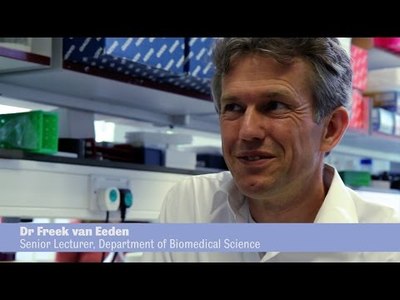 Applying for a PhD in Science - The University of Sheffield Kaltura ...