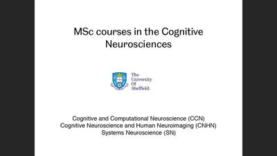 Cognitive Neuroscience - Postgraduate Open Day 2021 - The University of ...