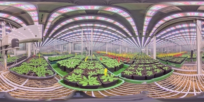 Biosciences - Controlled environment growth chambers 2 - The University ...