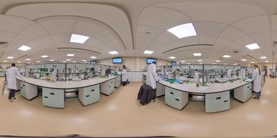 Biosciences - Plant sciences lab session - The University of Sheffield ...