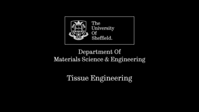 What is Tissue Engineering? Sam Pashneh-Tala Research Short FINAL - The ...