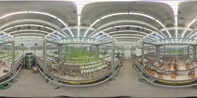 Biosciences - Controlled environment growth rooms 2 - The University of ...