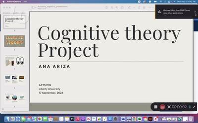 cognitive theory project ana ariza - Liberty University