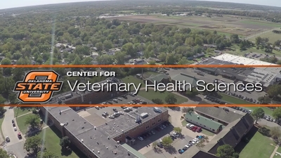 Maria Wins 3 Minute Thesis Competition - Video | Oklahoma State University