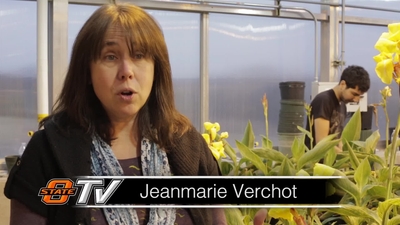 Faculty Experts: Dr. Jeanmarie Verchot - Video | Oklahoma State University