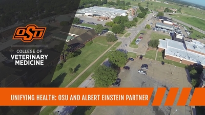 Unifying Health: OSU Veterinary College and Einstein College of ...