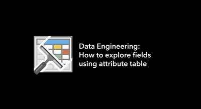 Data Engineering: How to explore fields using attribute table - Esri ...
