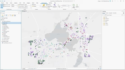 Classify unique value categories by attribute in ArcGIS Pro - Esri ...