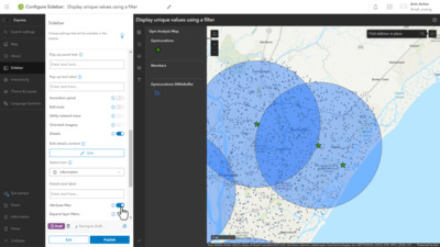 Display Unique Values Using a Filter in the ArcGIS Instant Apps Sidebar ...