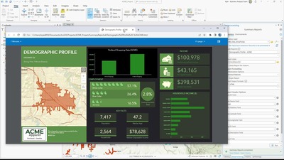 Business Analyst Pro: Import an infographic and run it locally - Esri ...