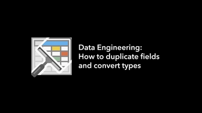 Data Engineering: How to duplicate fields and convert types - Esri ...