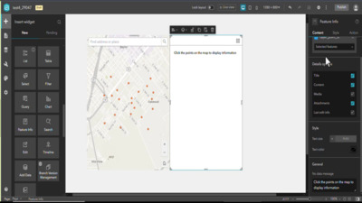 Prevent Details in the Feature Info Widget From Displaying When ...
