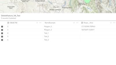 How To: Delete ArcGIS Online empty geometries in ArcGIS Pro - Esri ...