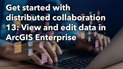 Get started with distributed collaboration 13: View and edit data in ...