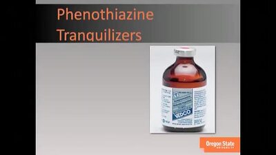 Anesthesia & Pharmacology - pt 3 - OSU MediaSpace