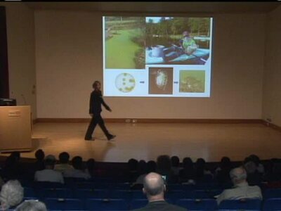 Scholars' Insights 2013: Susan Theis - OSU MediaSpace