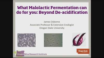 20150318 What Malolactic Fermentation Can Do for You: Beyond De ...