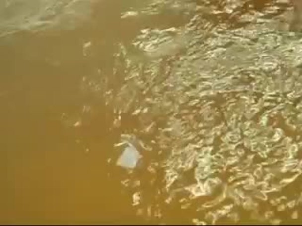 Artificial leaf caught in eddy downstream of the vegetation - OSU ...